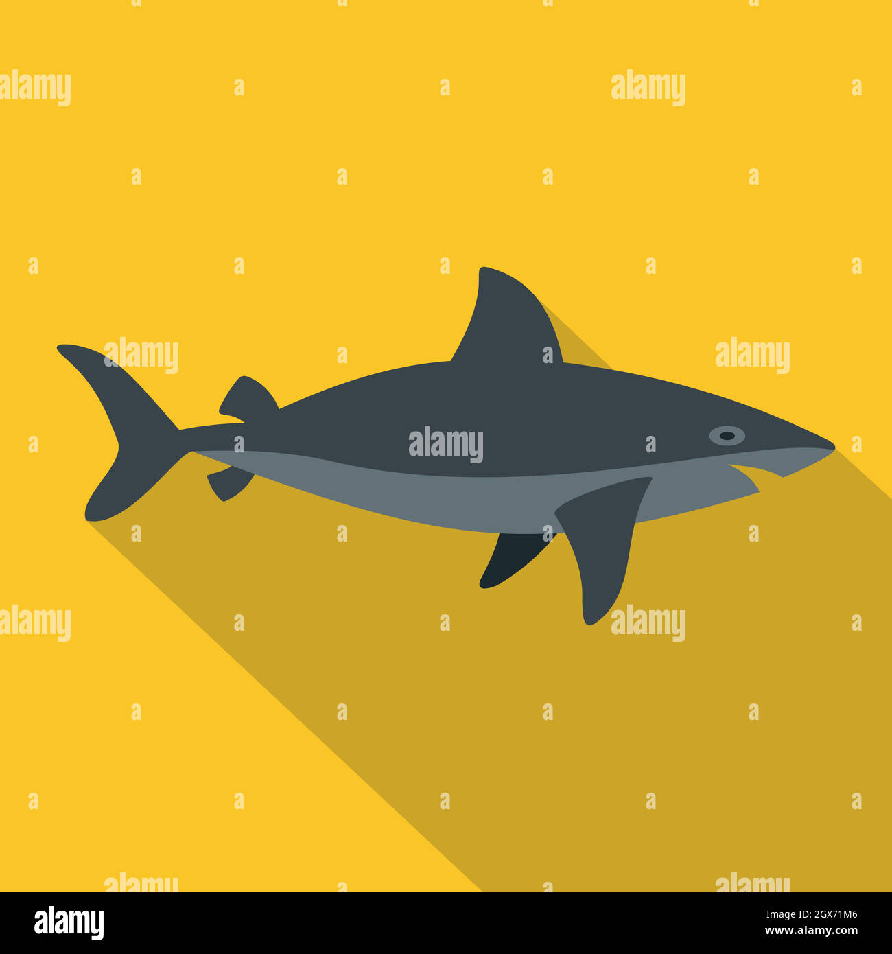 Grey reef shark teeth hi-res stock photography and images - Alamy