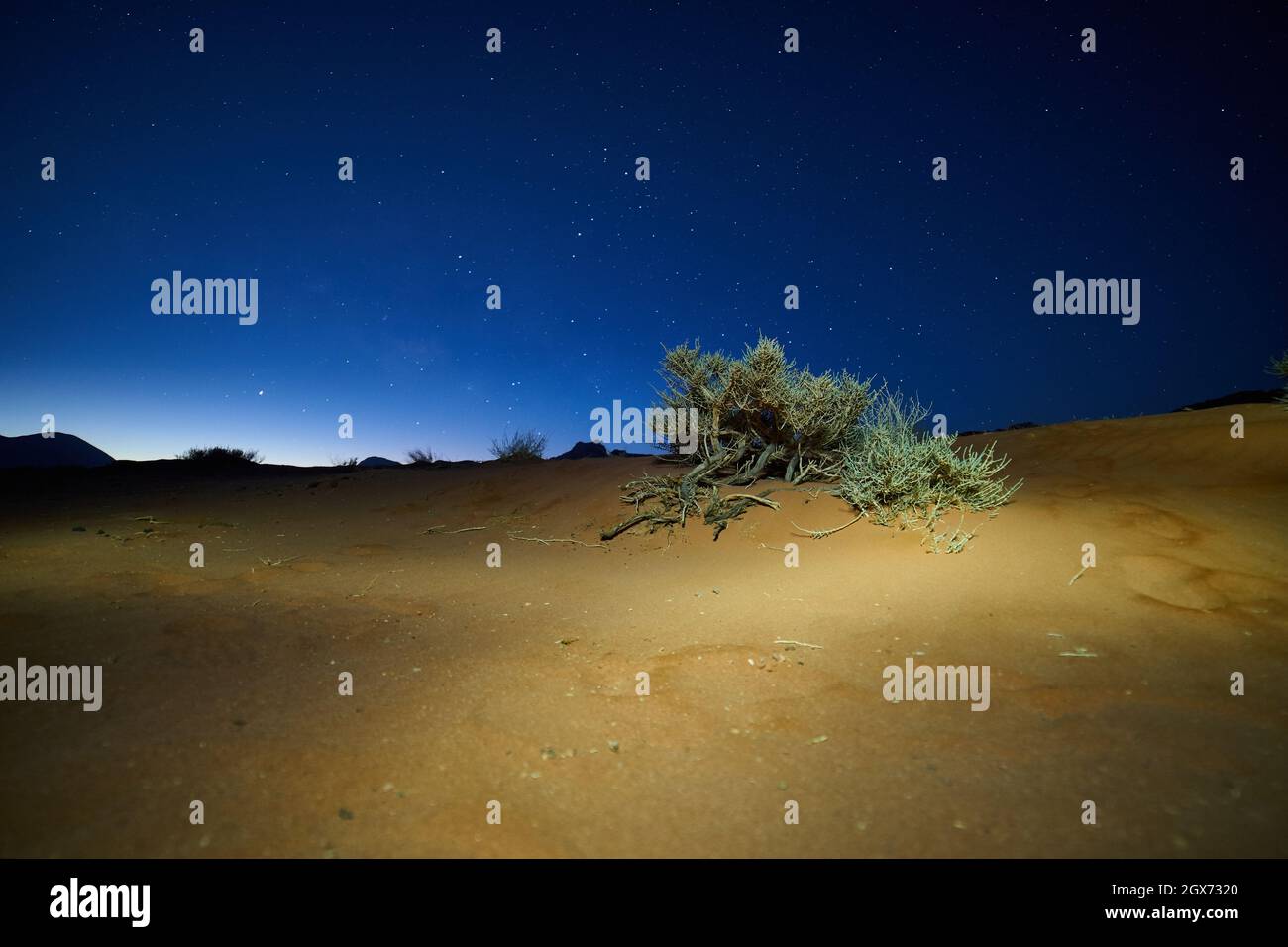 Arabia desert at night hi-res stock photography and images - Alamy