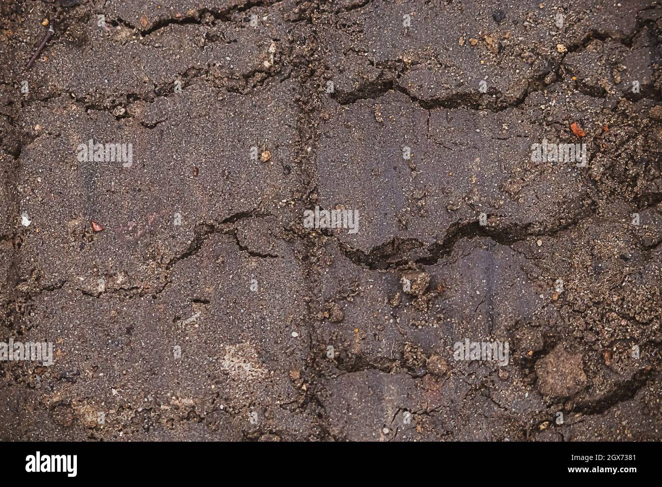 Seamless Wet Mud Texture