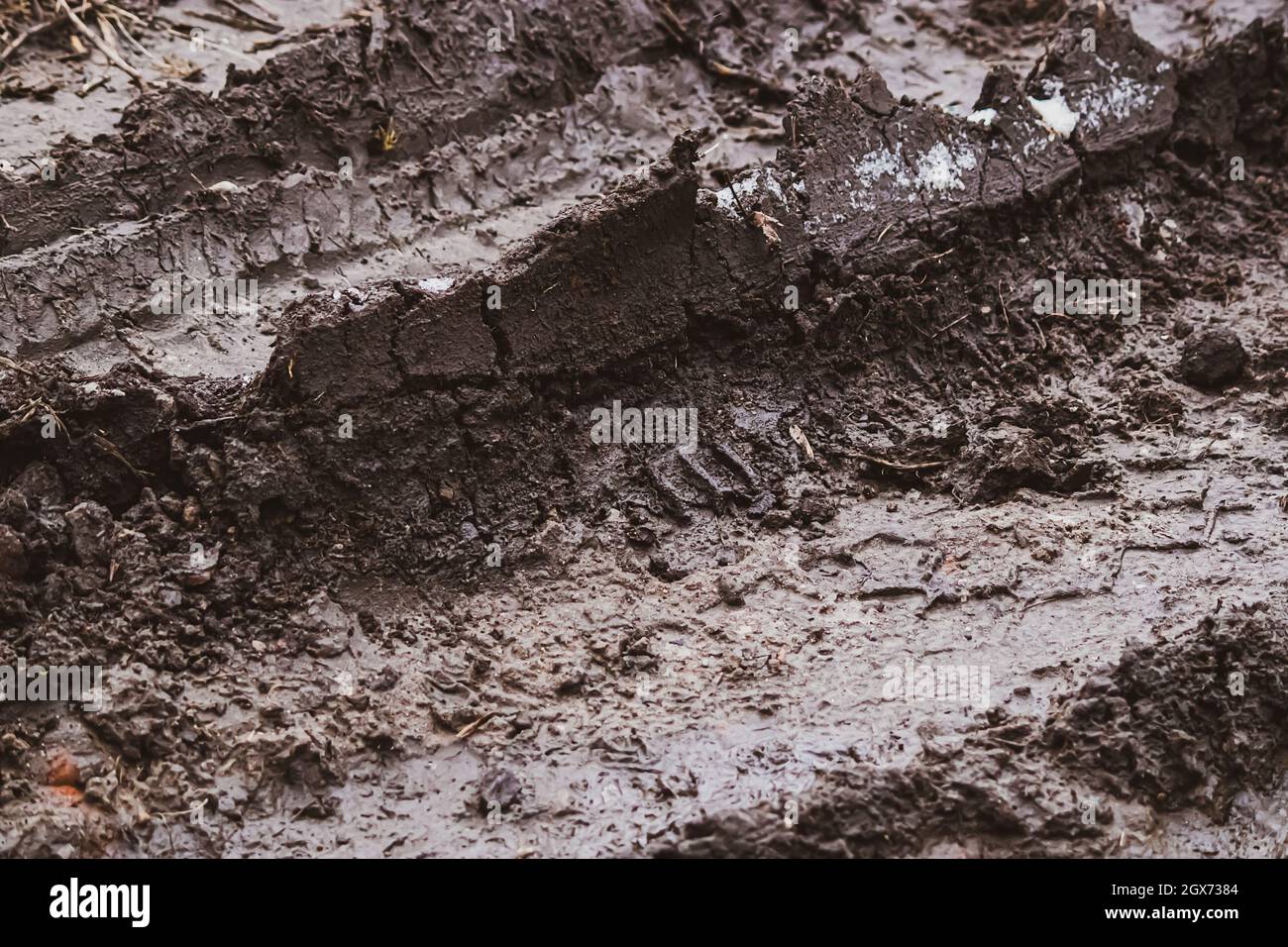 Wet sand tyre marks hi-res stock photography and images - Alamy