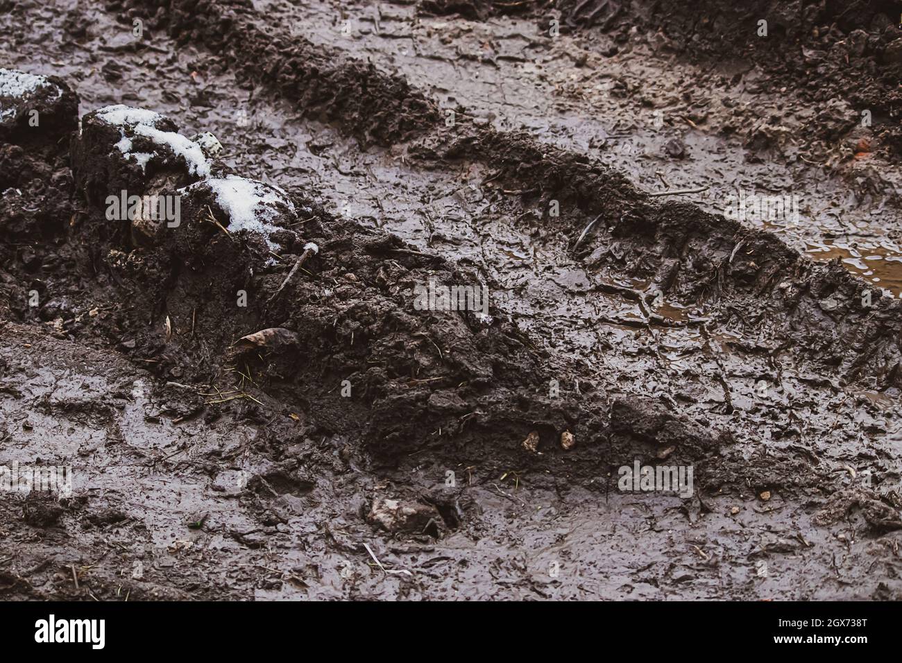 Soggy terrain hi-res stock photography and images - Alamy