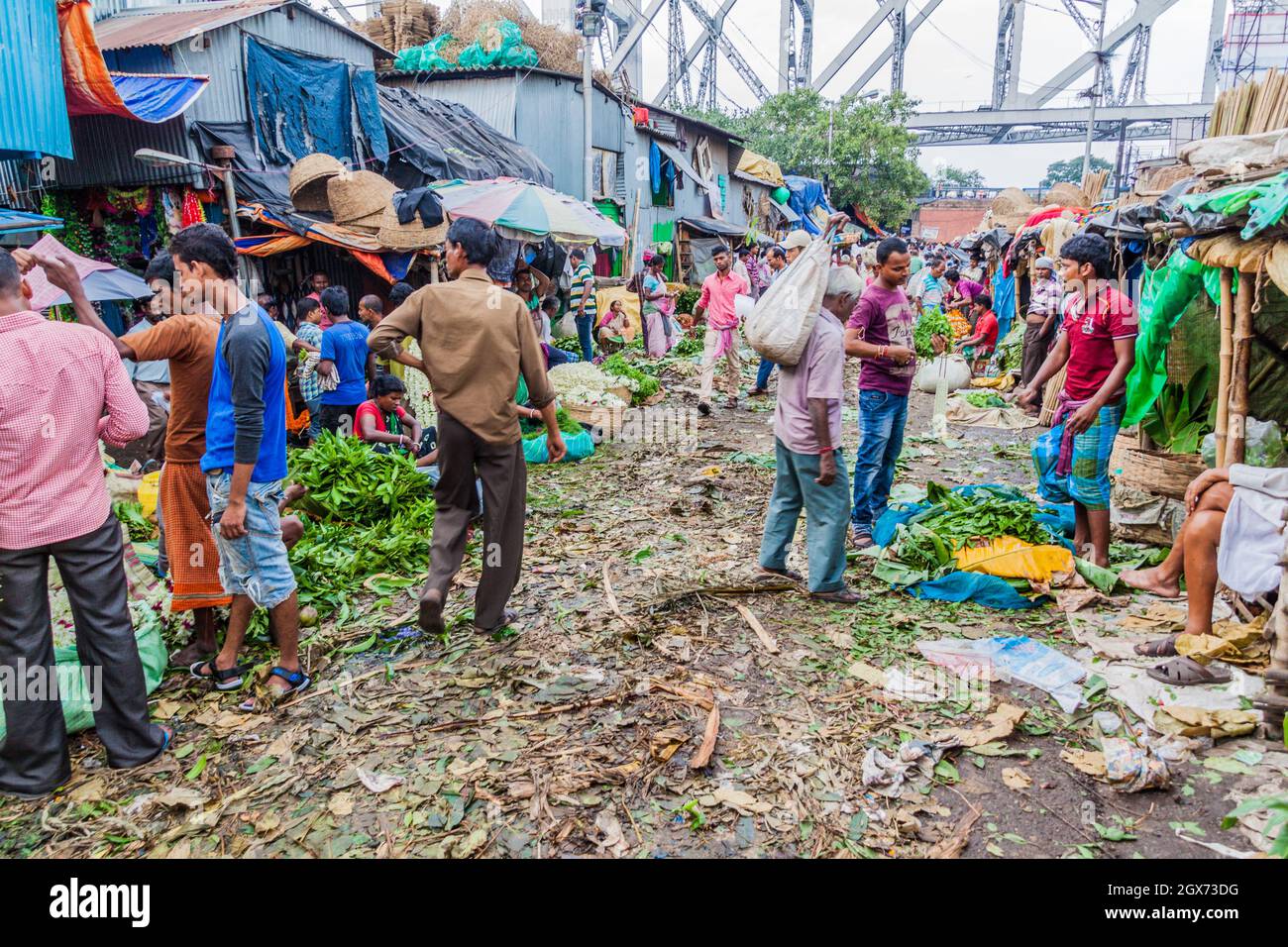 KOLKATA, INDIA - OCTOBER 31, 2016: View of Mullik Ghat Flower Market in ... KOLKATA, INDIA - OCTOBER 31, 2016: View of Mullik Ghat Flower Market in ...