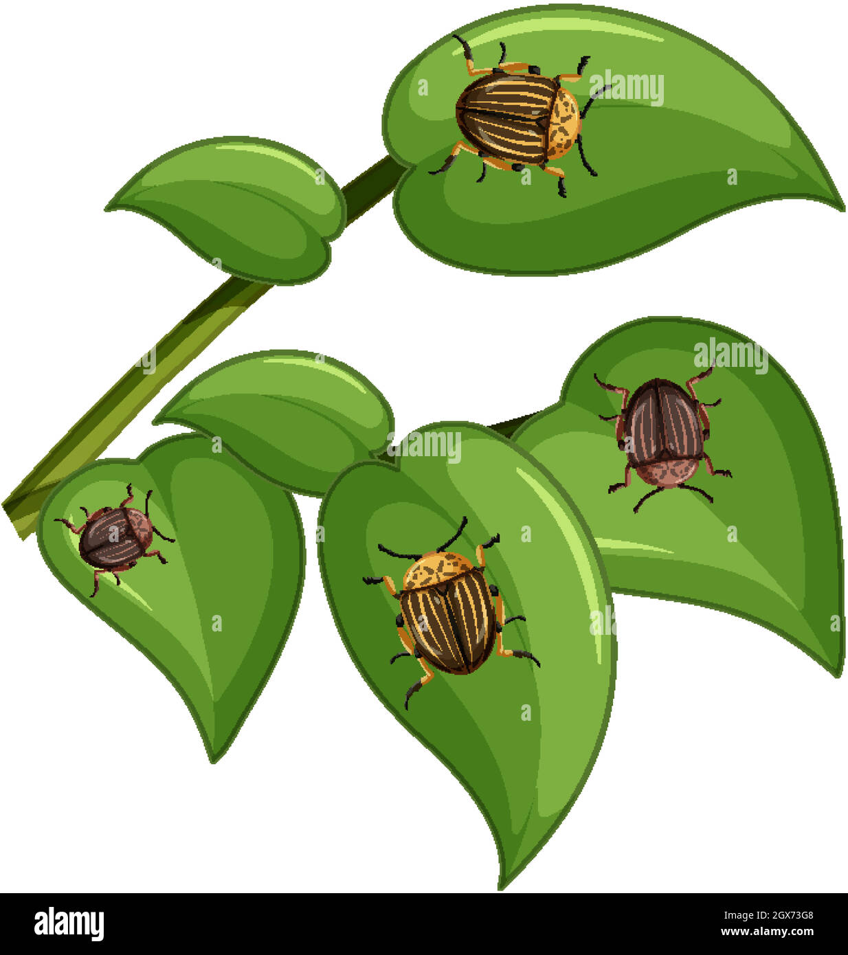 Potato background zoom Stock Vector Images - Alamy