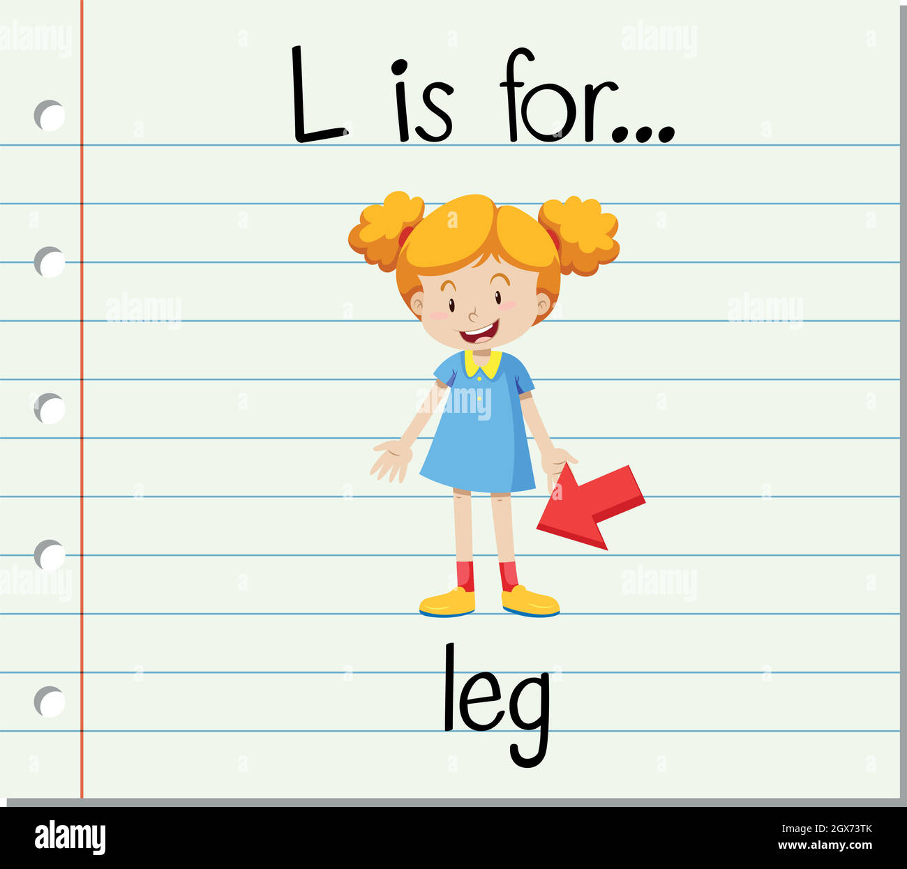 Flashcard letter L is for leg Stock Vector Image & Art - Alamy