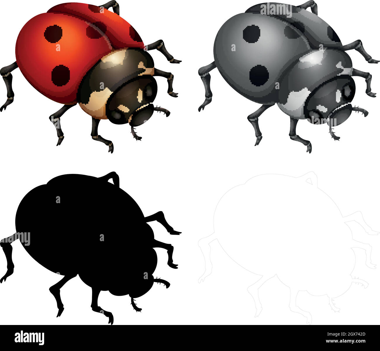 Bugs bug Cut Out Stock Images & Pictures - Alamy