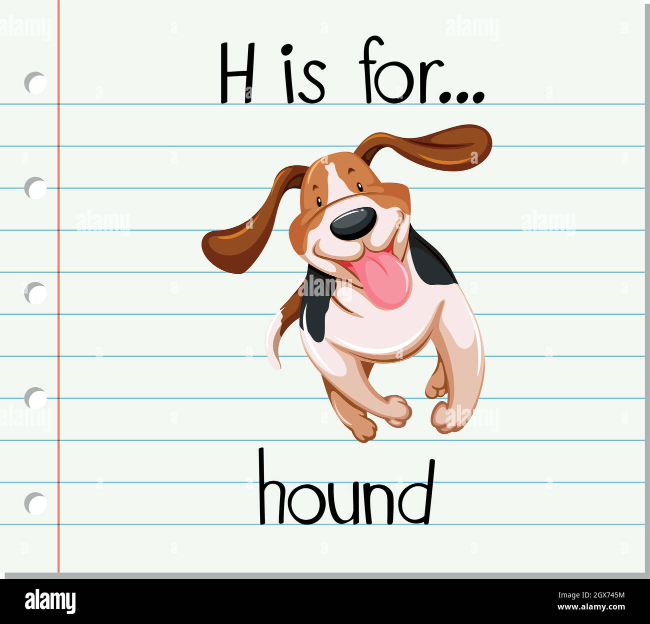 Flashcard letter H is for hound Stock Vector Image & Art - Alamy