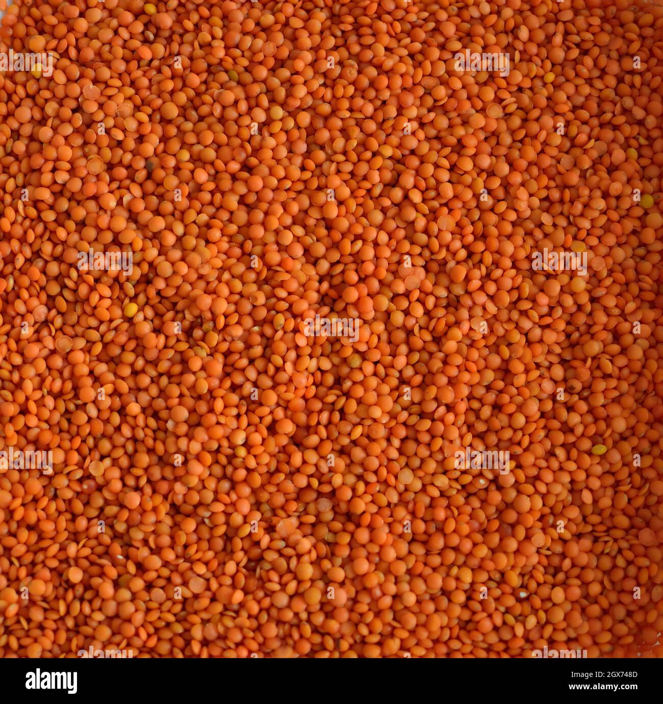 Lentil texture hi-res stock photography and images - Alamy