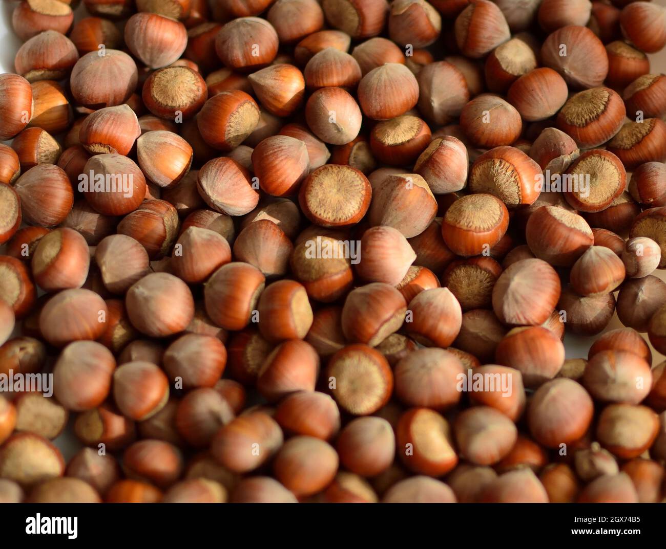Shelled hazel hi-res stock photography and images - Alamy