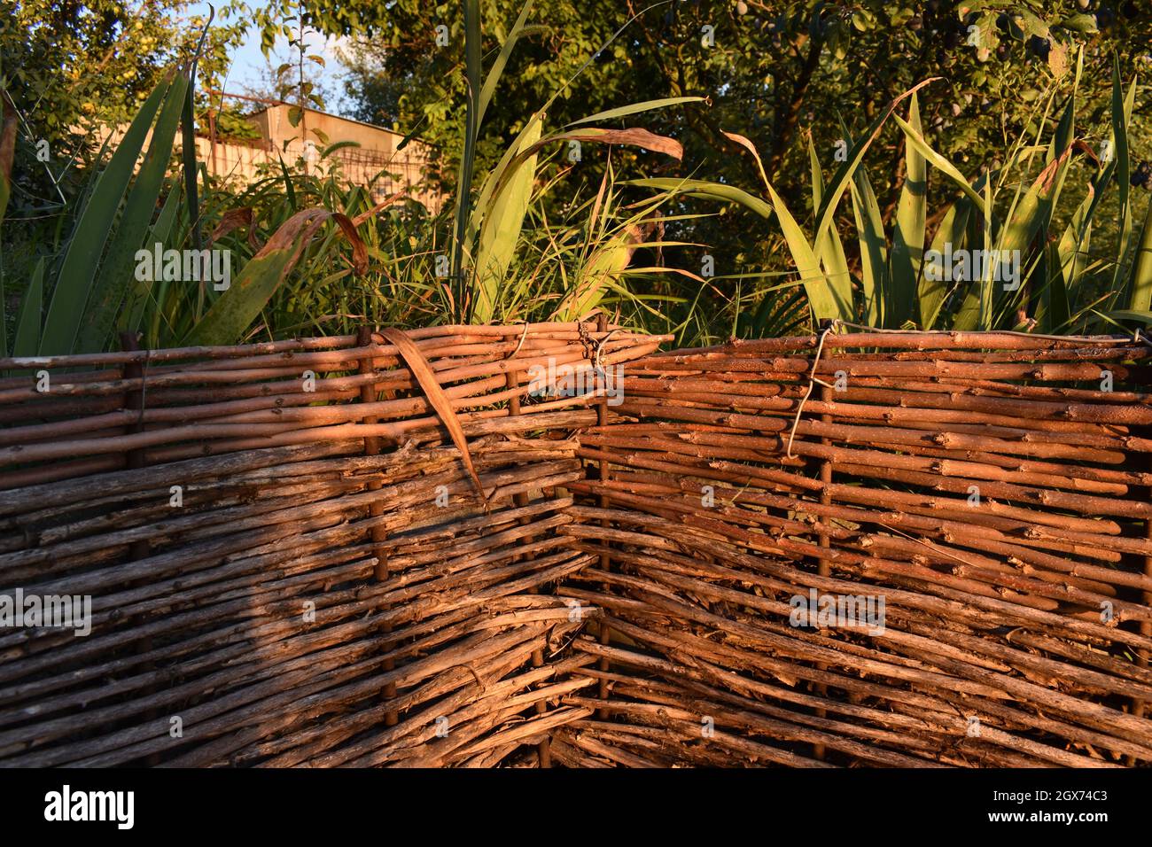Wicker fence made of hazel in the yard Stock Photo - Alamy
