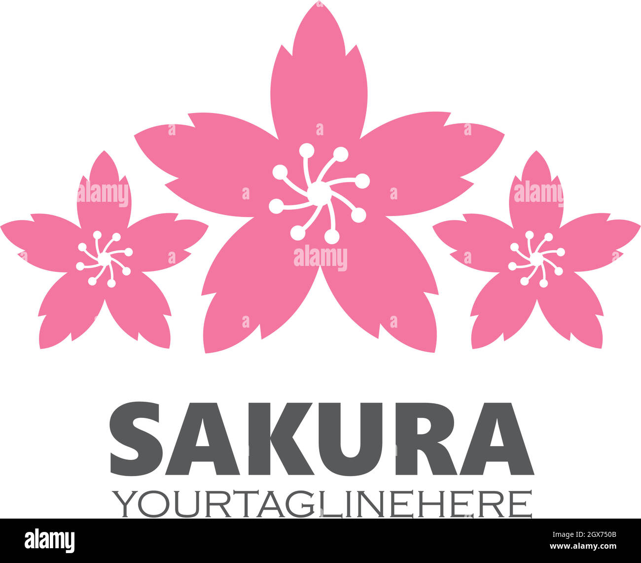 sakura flower vector illustration design Stock Vector Image & Art - Alamy