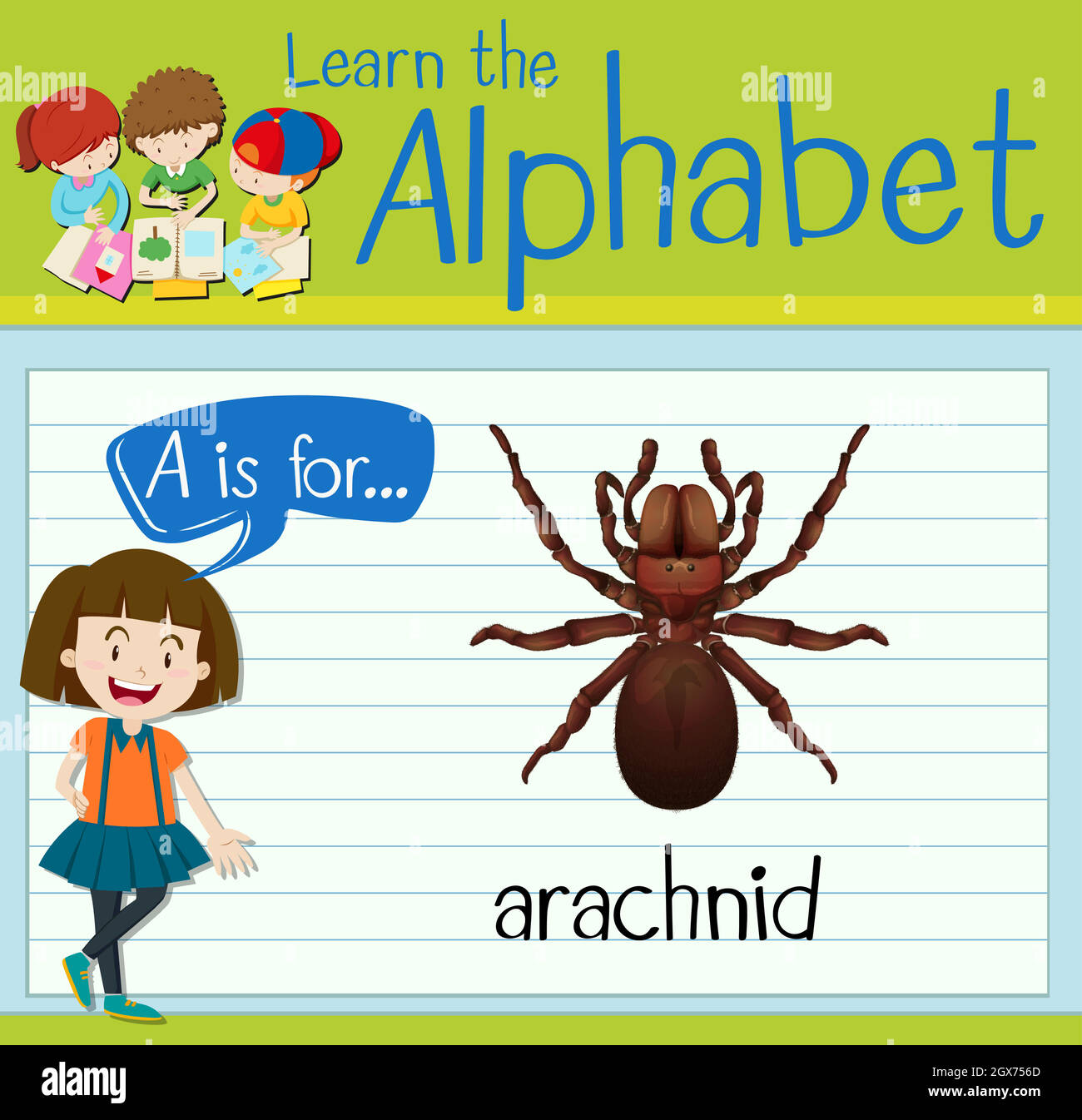 Flashcard letter A is for arachnid Stock Vector Image & Art - Alamy