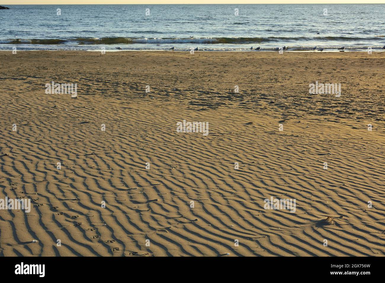 Wave vector lines hi-res stock photography and images - Alamy