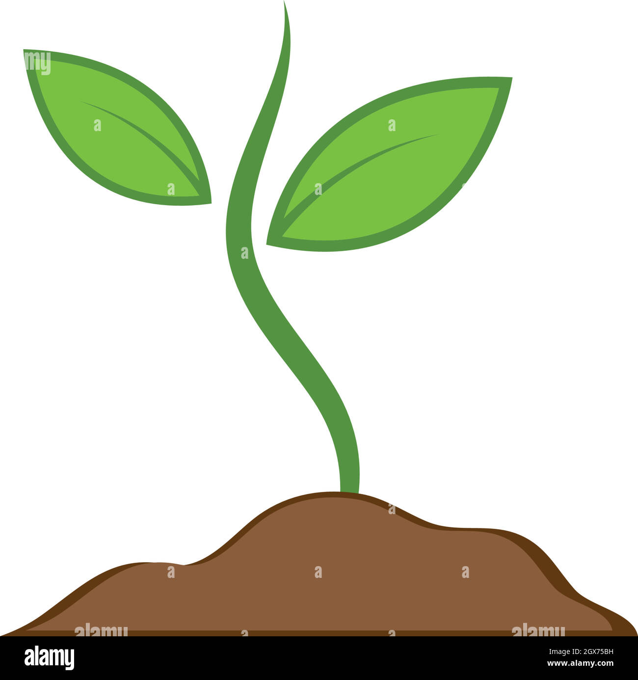 plant vector icon illustration Stock Vector Image & Art - Alamy