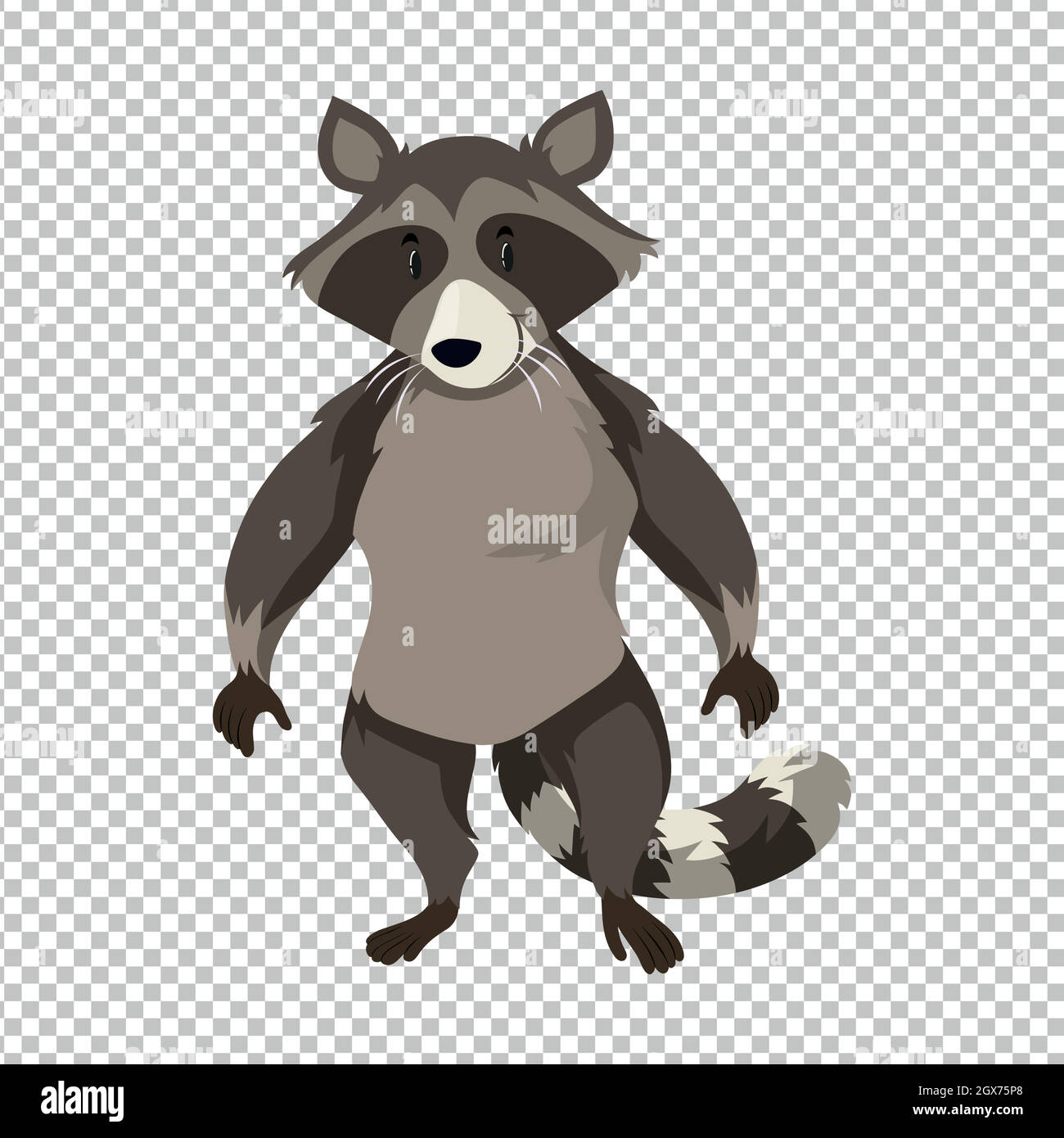 Raccoon standing on transparent background Stock Vector Image & Art - Alamy