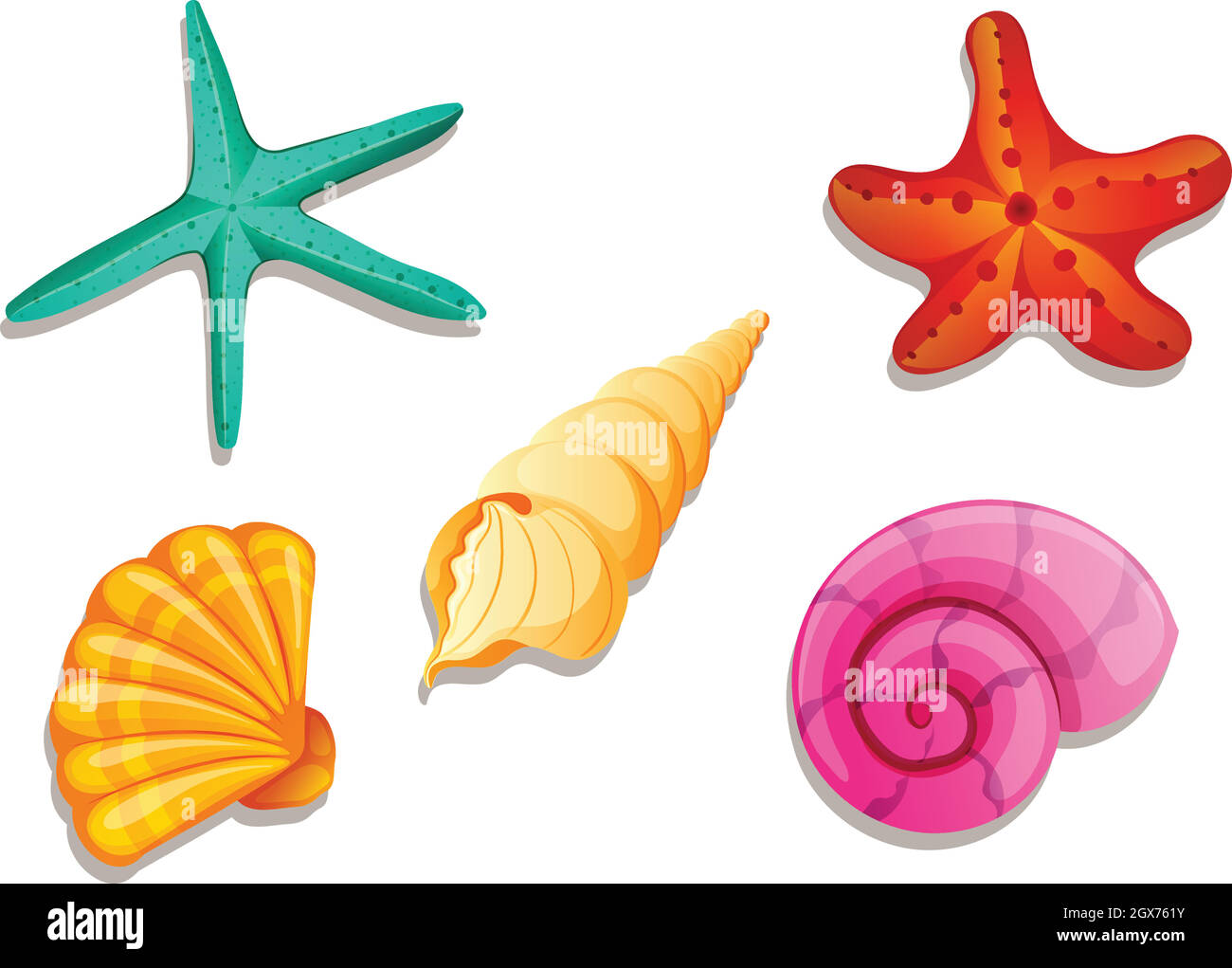 Small seashells Stock Vector Images - Alamy