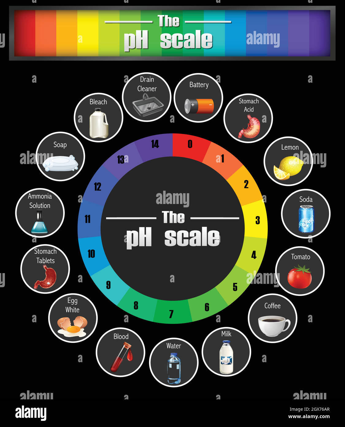 Science pH scale template Stock Vector Image & Art - Alamy