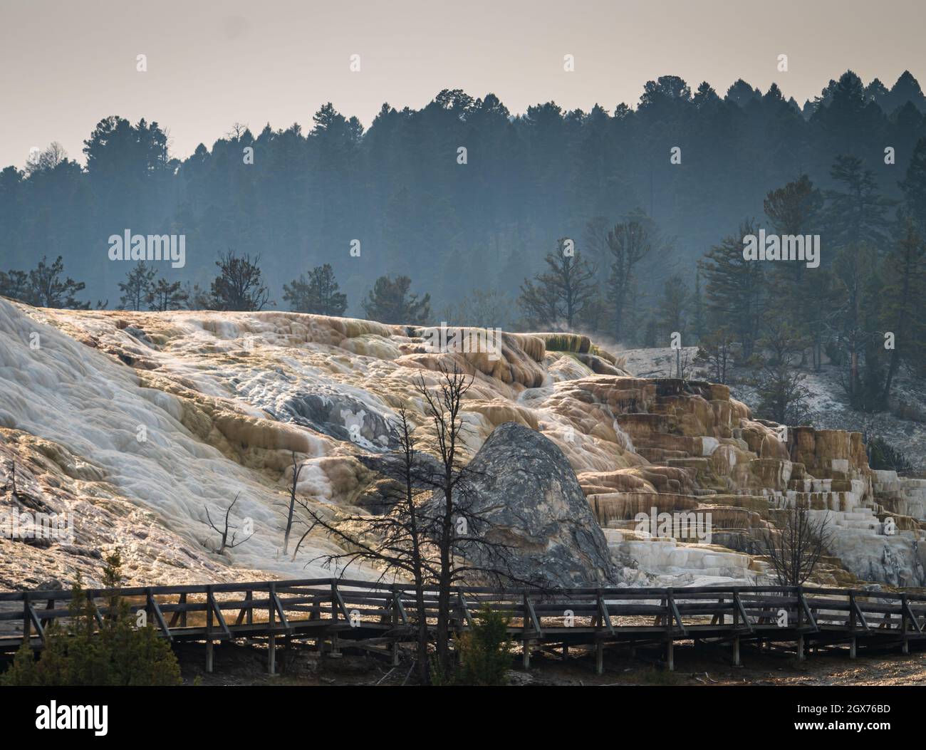 Limestone ecology hi-res stock photography and images - Alamy