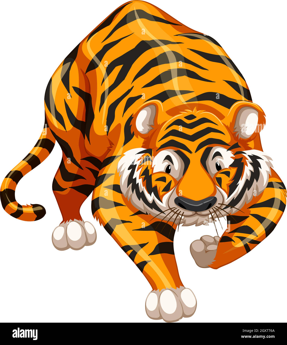 Tiger white background Stock Vector Images - Alamy