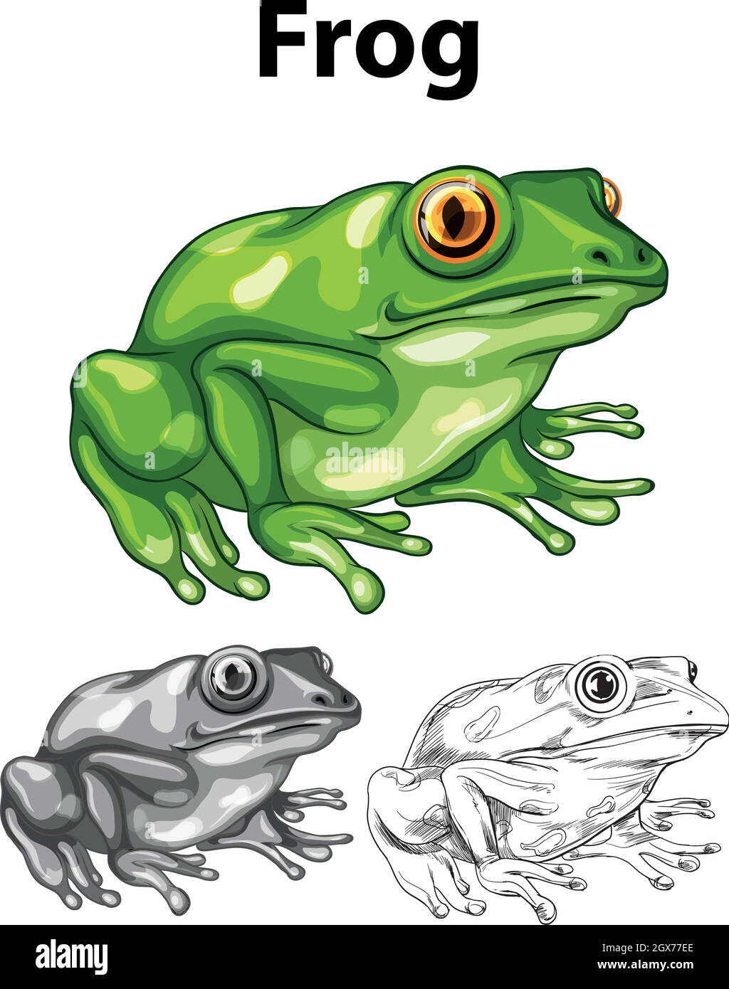 Doodle animal for frog Stock Vector Image & Art - Alamy