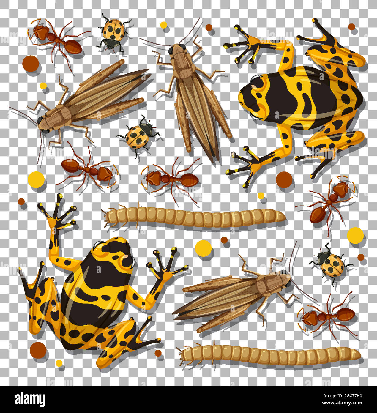 Set of different insects on transparent background Stock Vector Image ...