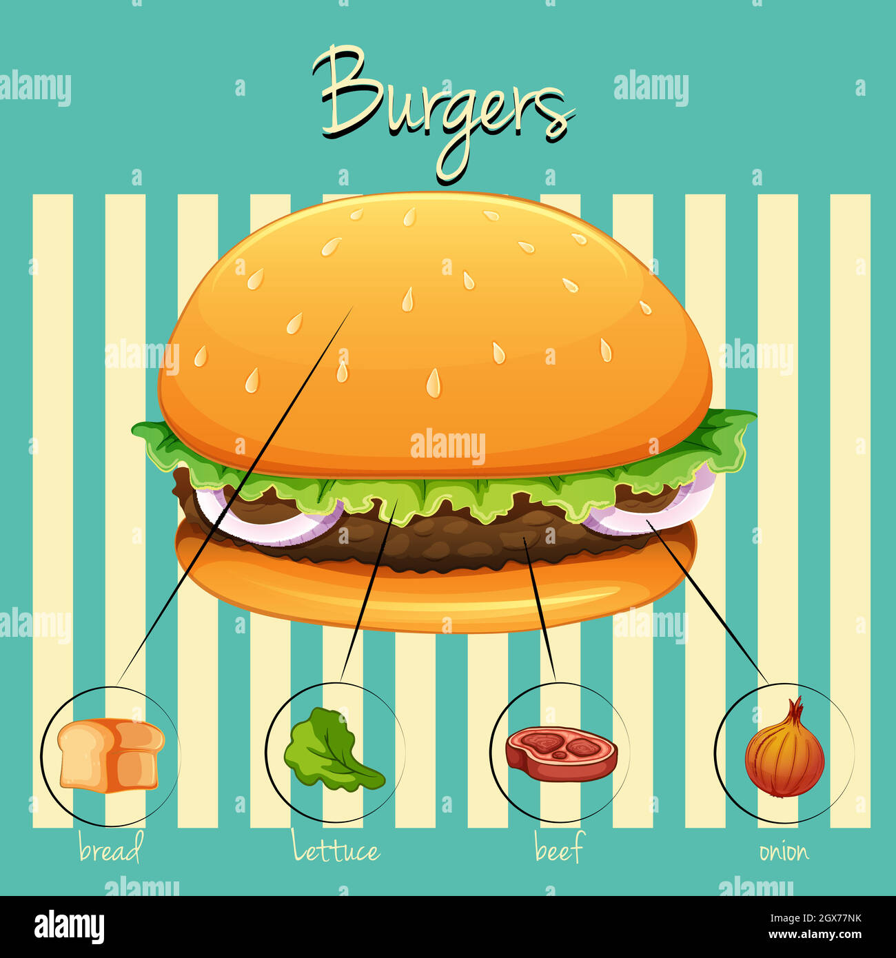 Ingredients burgers Stock Vector Images - Alamy