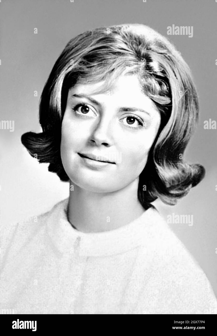 Don Harshman's Instagram, Twitter & Facebook on IDCrawl