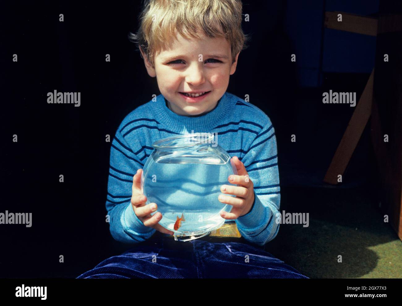 Young boy with goldfish Stock Photo - Alamy
