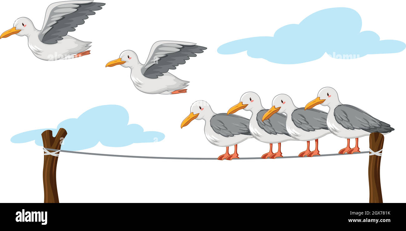 Seagull on sea background Cut Out Stock Images & Pictures - Alamy