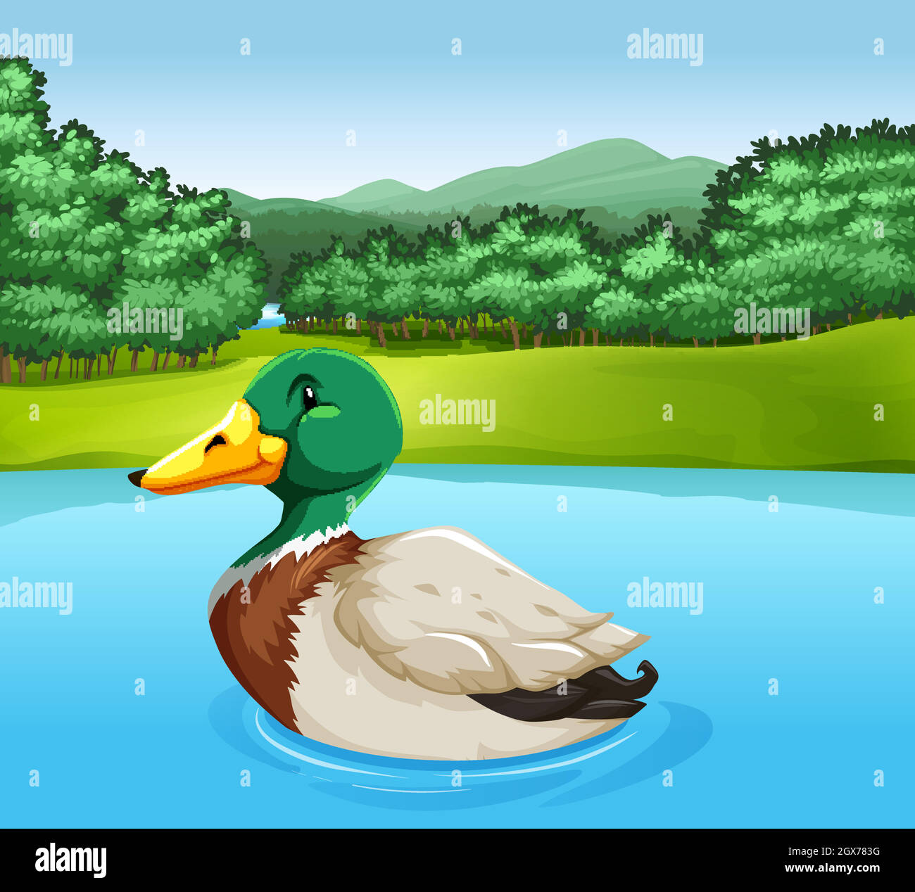 Duck natural scene Stock Vector Images - Alamy