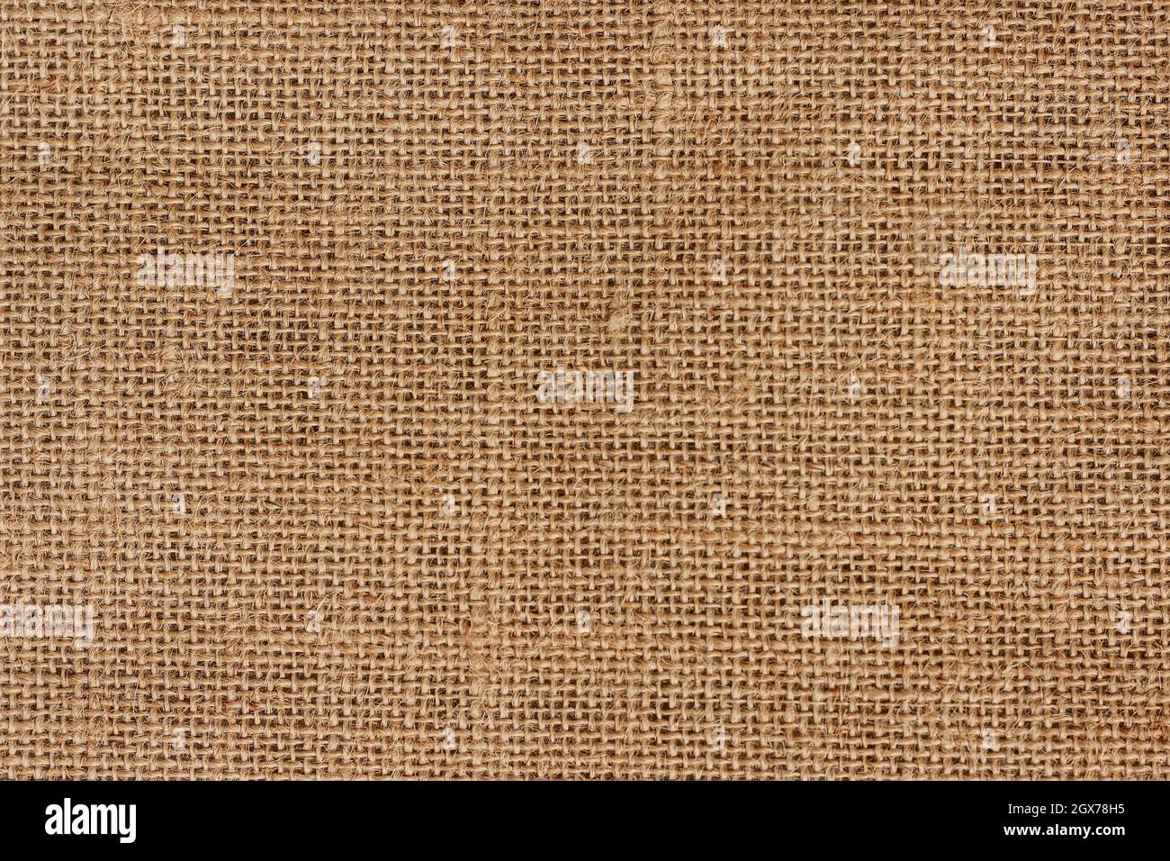 Natural linen raw uncolored close-up. Sack woven, sacking burlap ...
