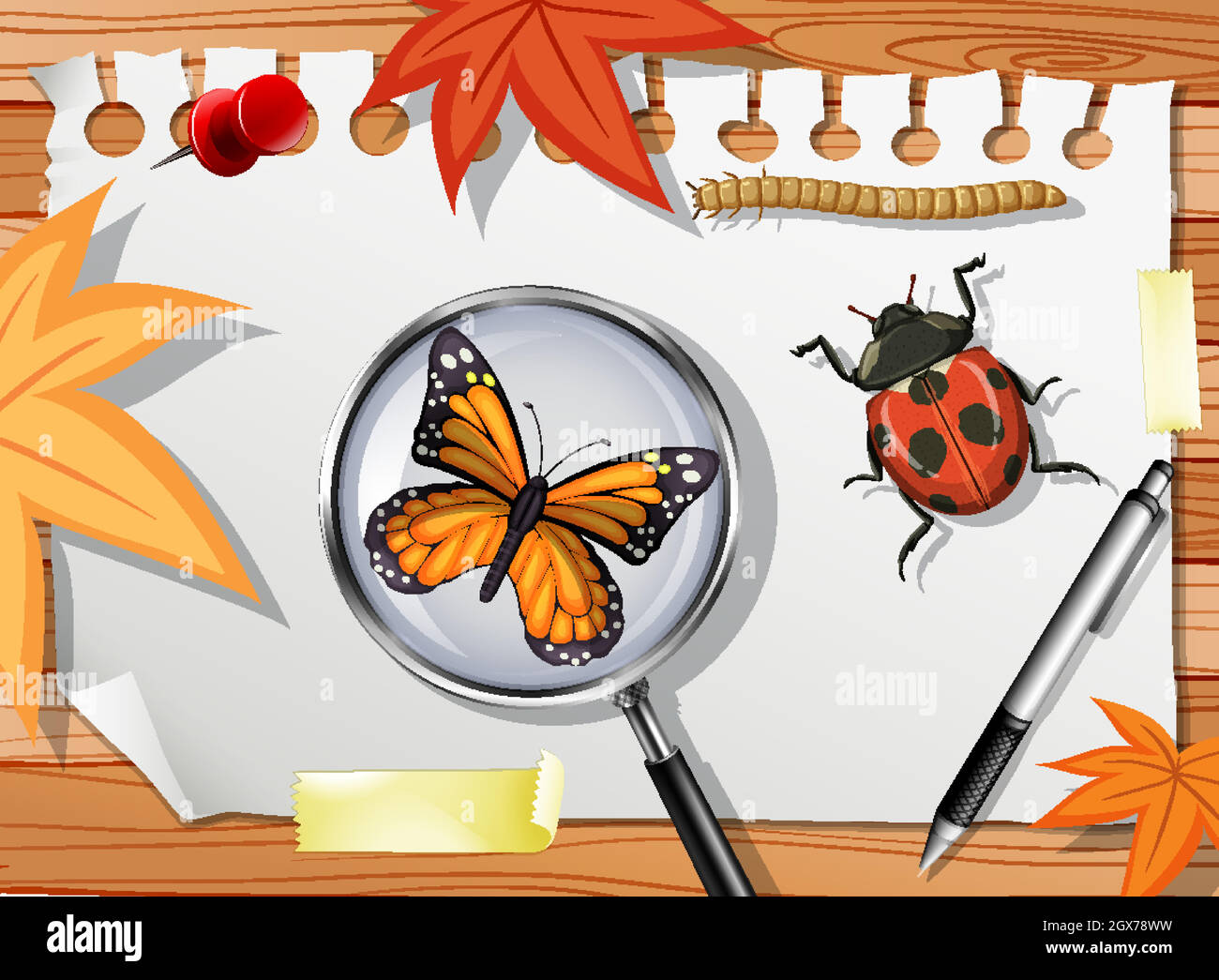 Insect on insects bug Stock Vector Images - Alamy
