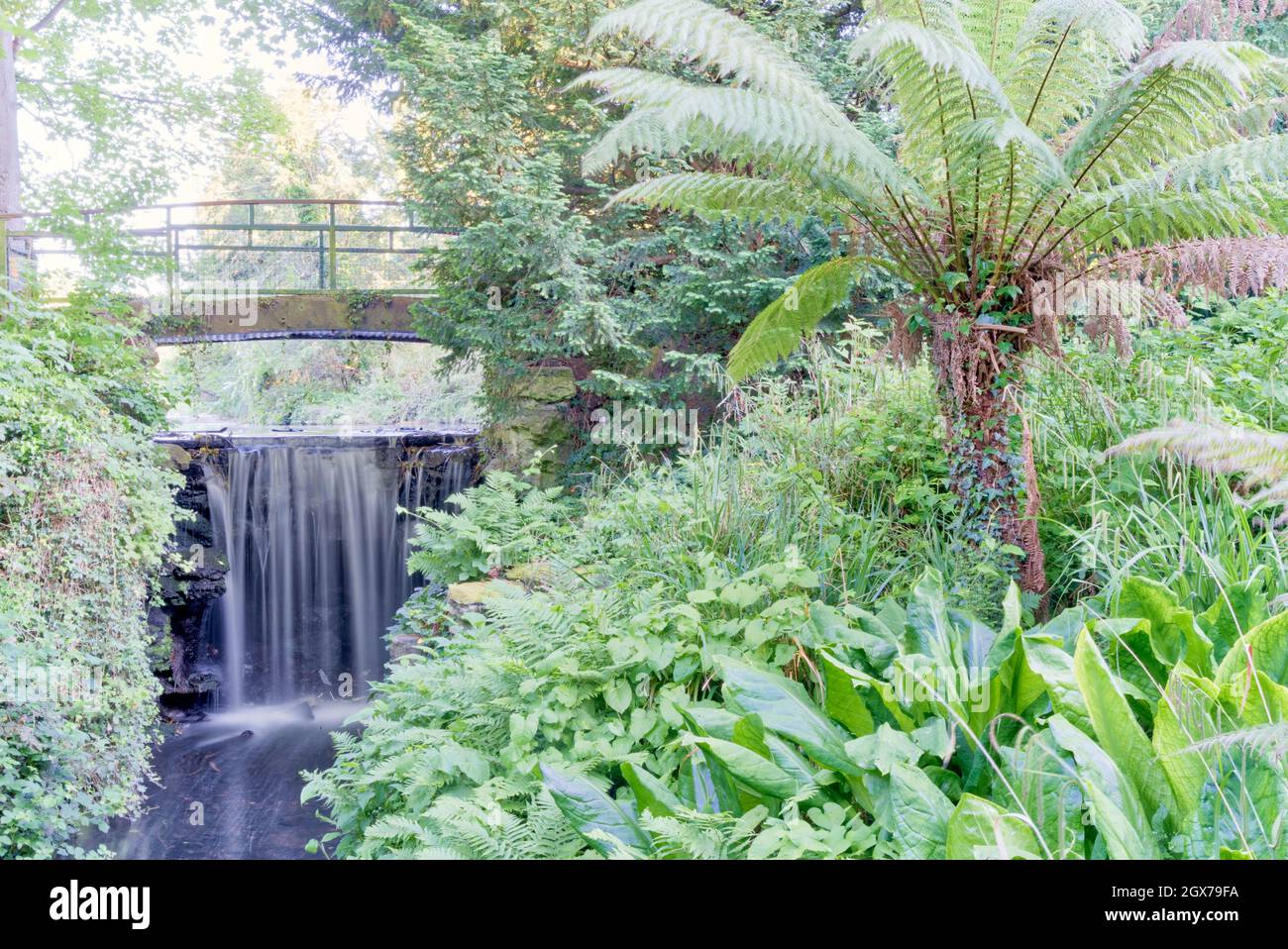 Pond, Lake , River Beck water fall at Kelsey Park South East London ...