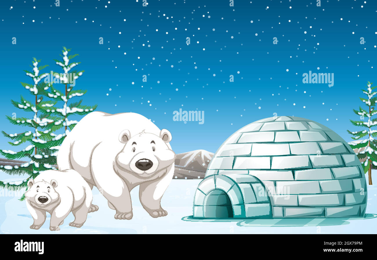 Igloo Craft With Bear Polar Bear Igloo Images Free Download On