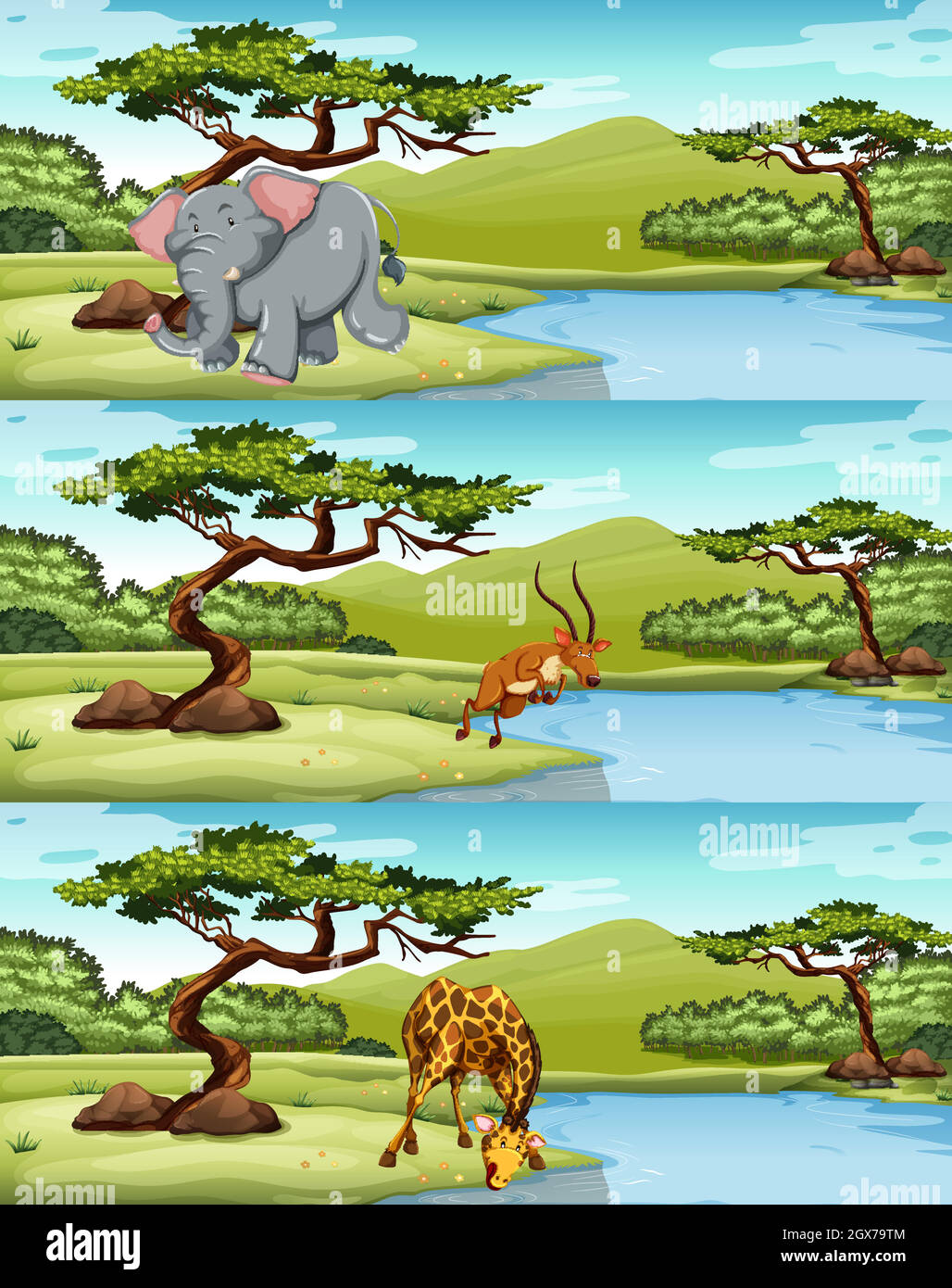 Wild animals living by the lake Stock Vector Image & Art - Alamy