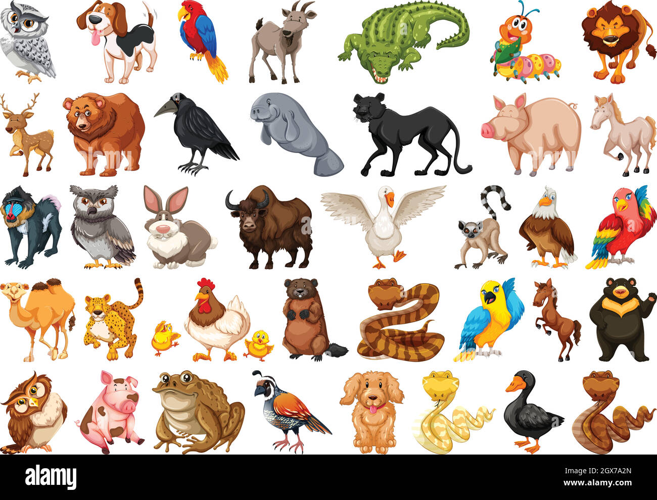 Diverse animals isolated on white hi-res stock photography and images ...