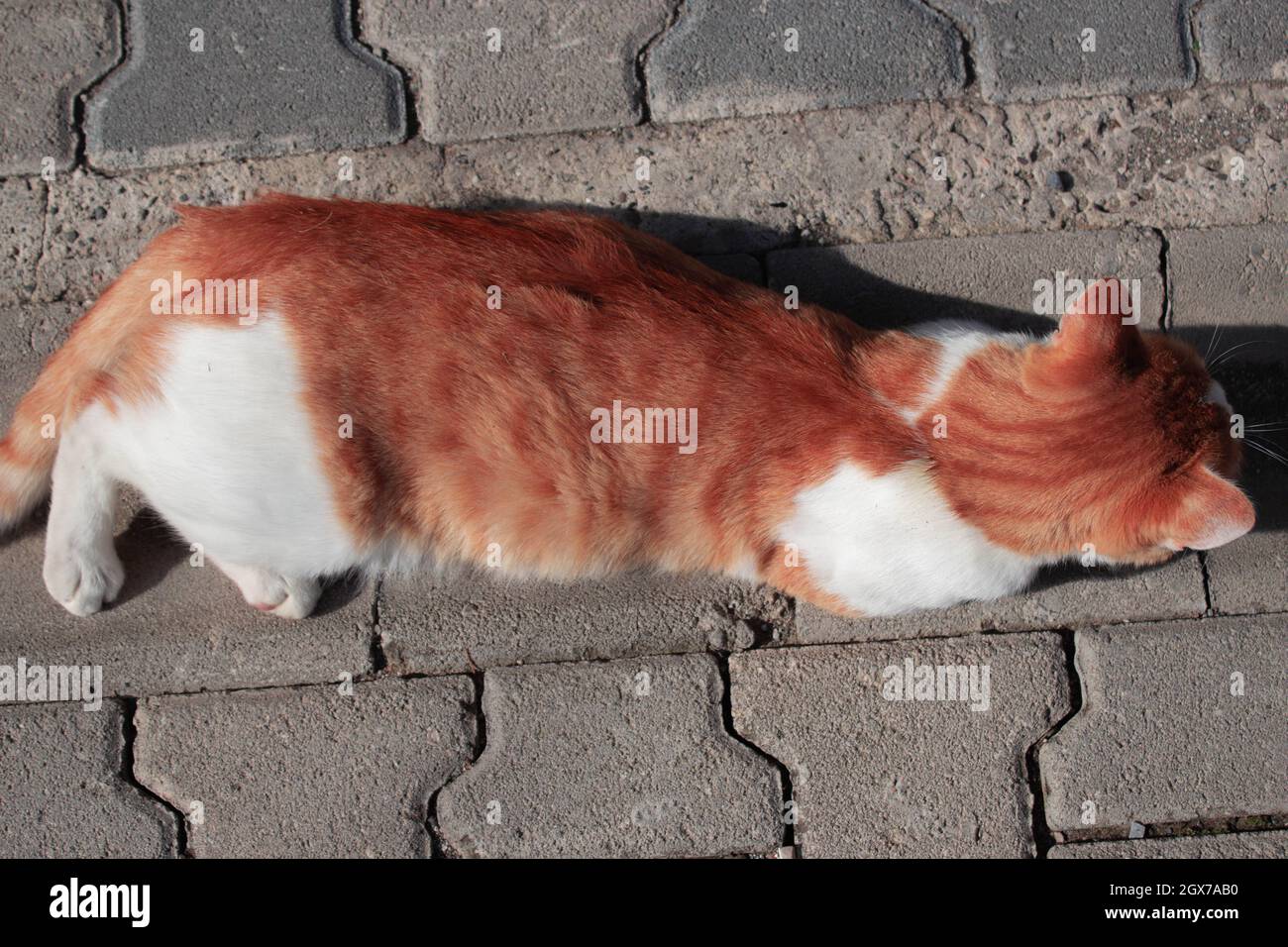 Pretty drain hi-res stock photography and images - Alamy