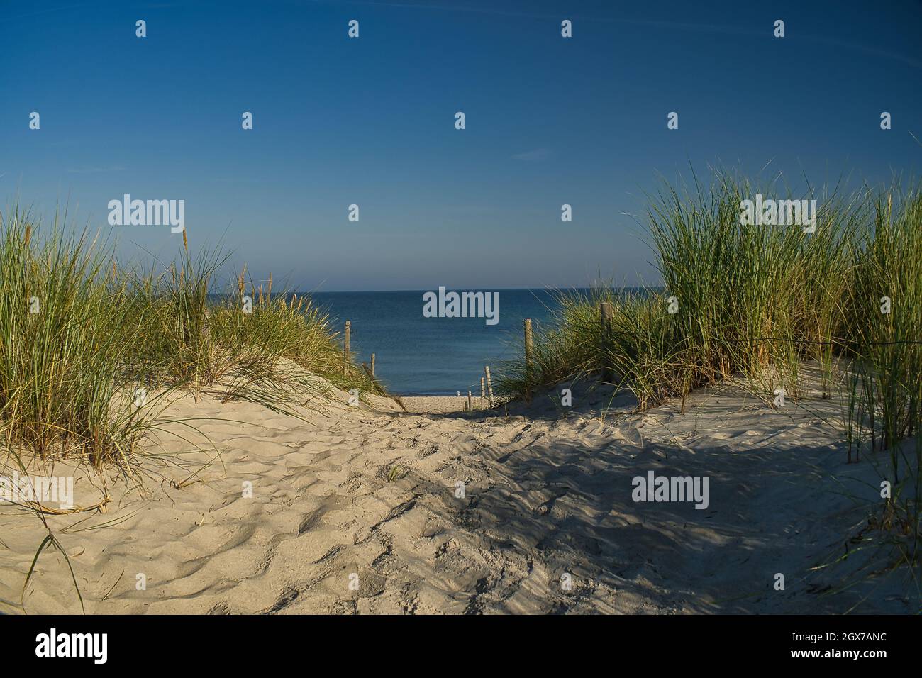 Beach surrounded by the sea under the sunlight and a blue sky Stock ...