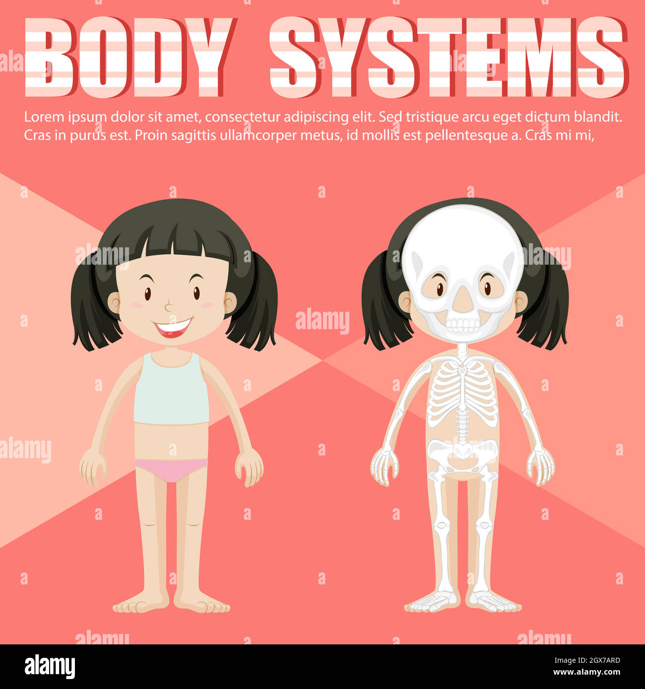 Infographic of girl and body system Stock Vector Image & Art - Alamy