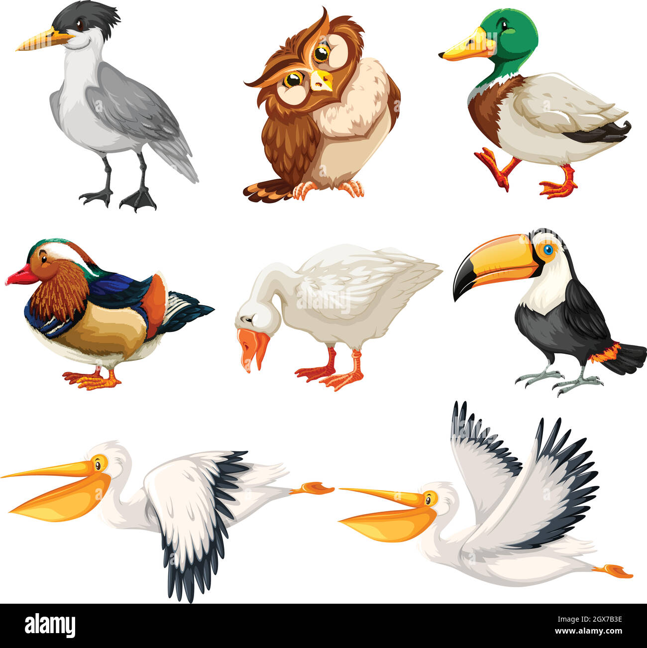 Set of bird character Stock Vector Image & Art - Alamy