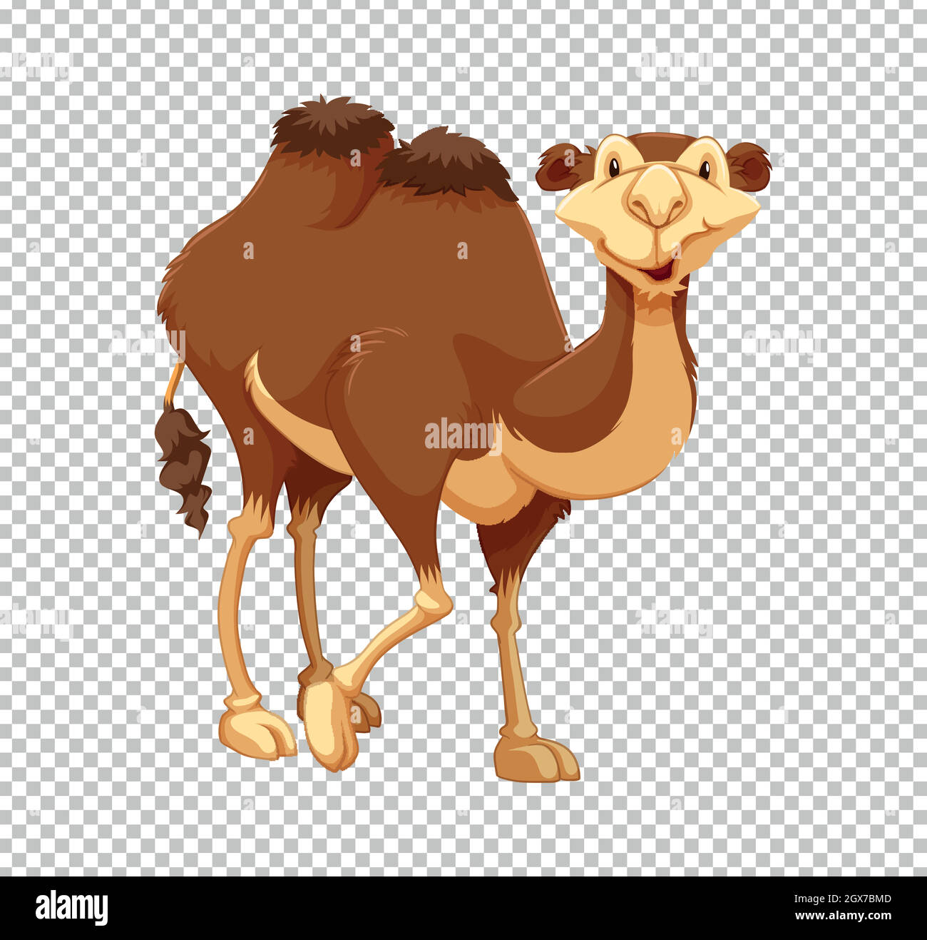 Cute camel on transparent background Stock Vector Image & Art - Alamy