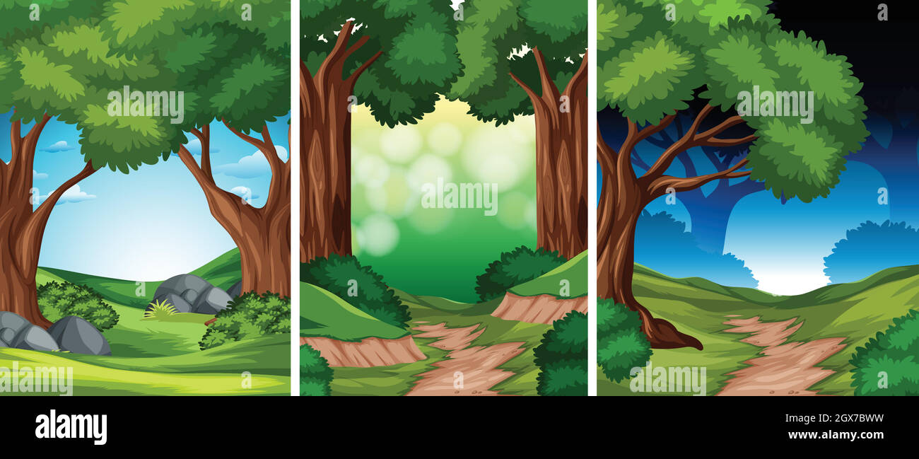 Set of the forest Stock Vector Image & Art - Alamy