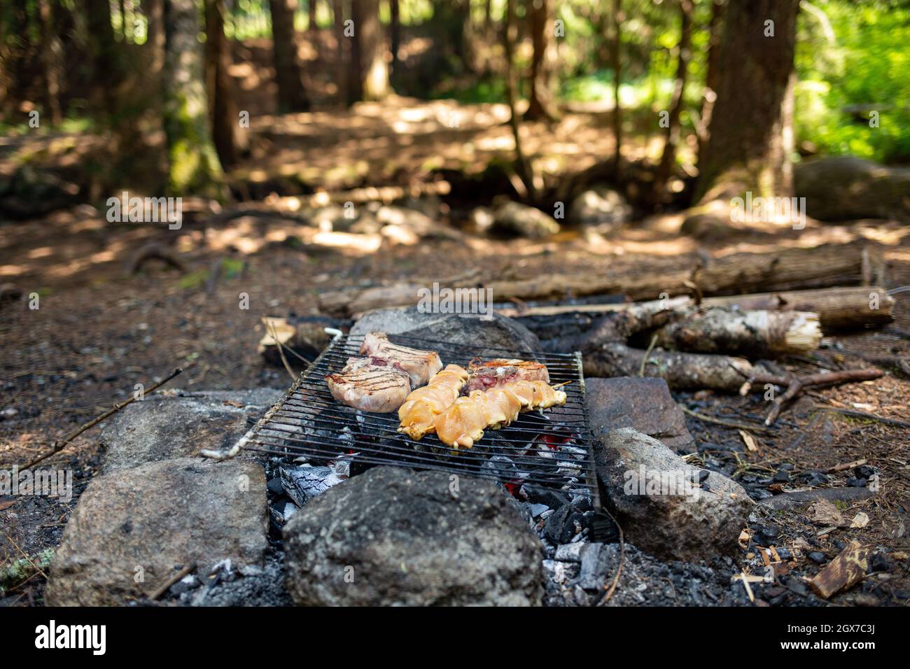Meat cooking on a campfire in a forest Stock Photo - Alamy