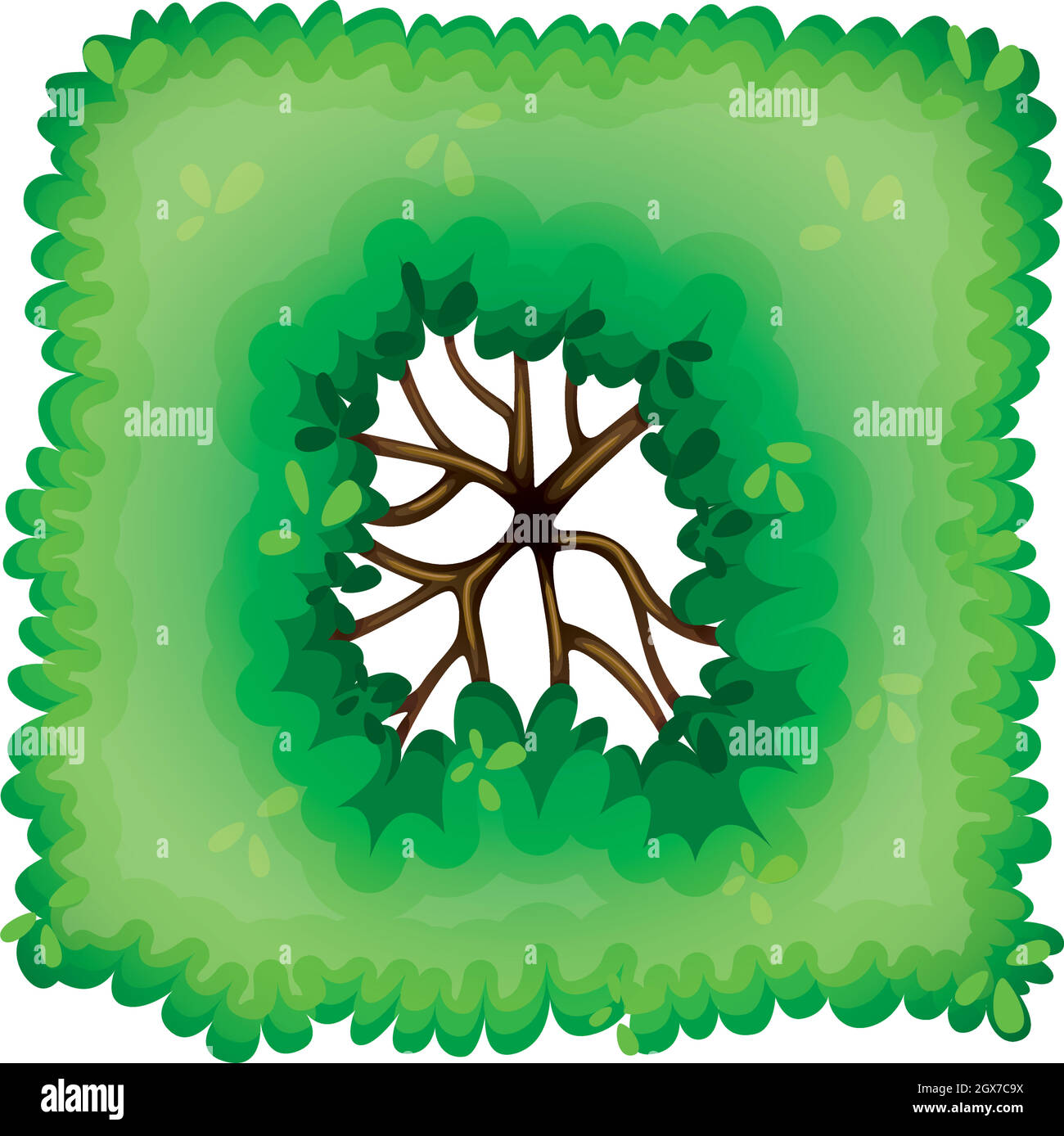 White image indoor plant Cut Out Stock Images & Pictures - Alamy