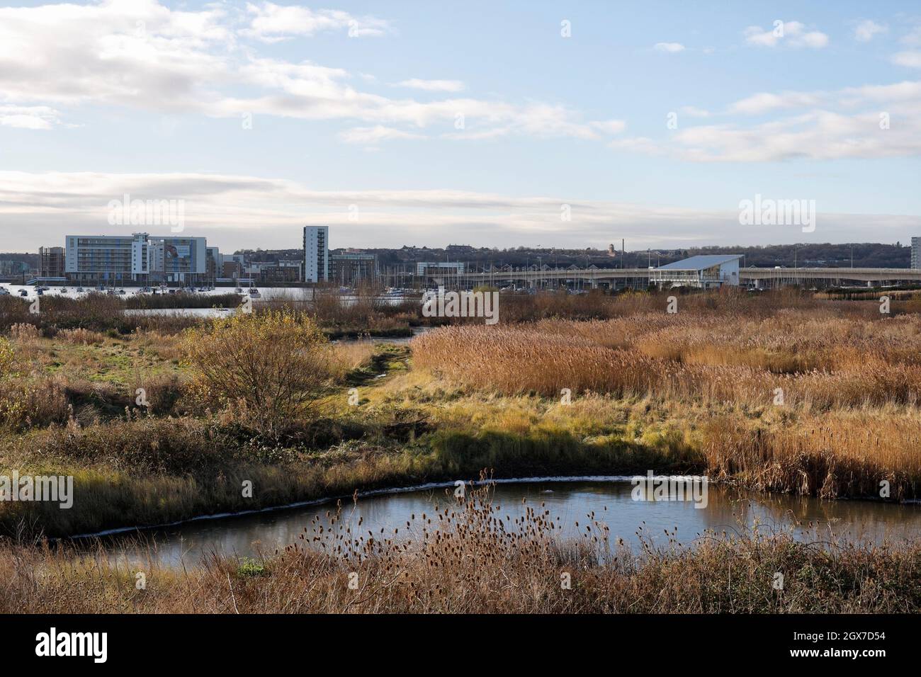 Cardiff bay wetland reserve hi-res stock photography and images - Alamy