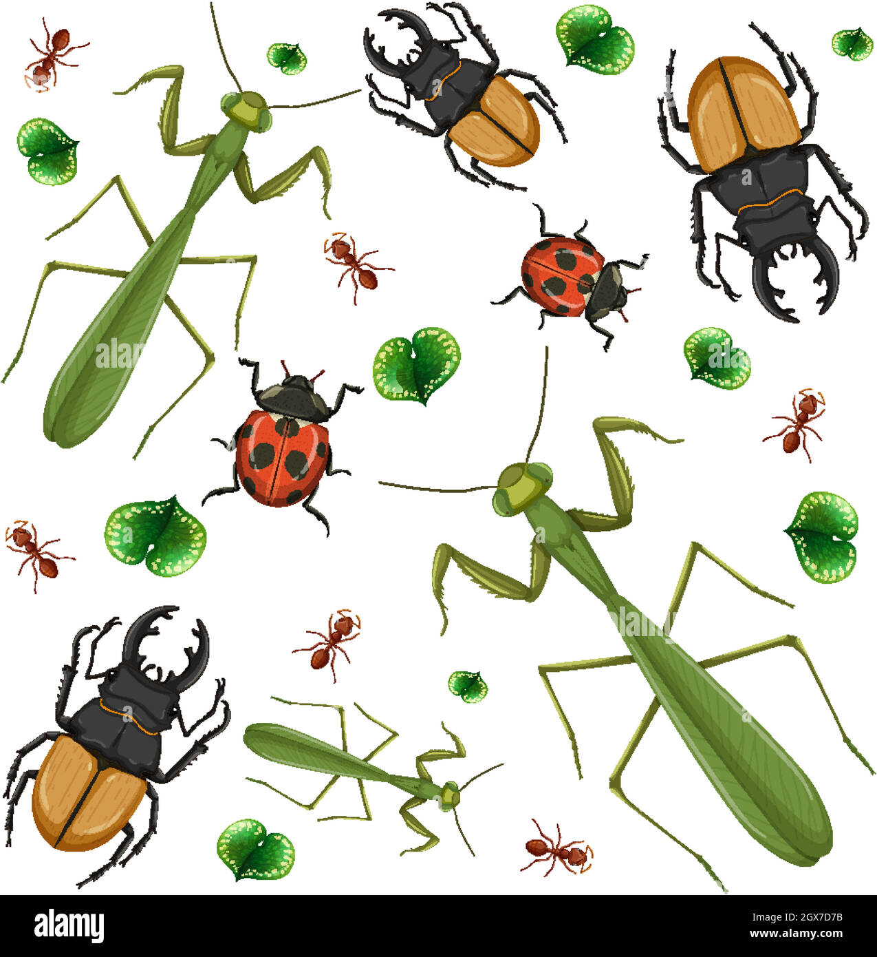 Set of different insects on white background Stock Vector Image & Art ...