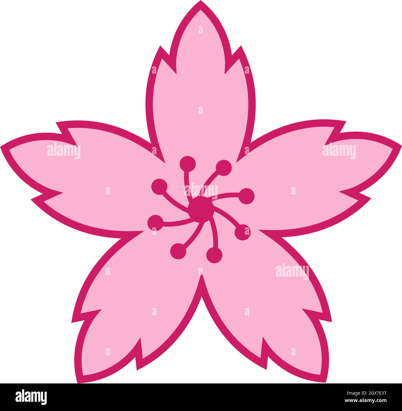 sakura flower vector illustration design Stock Vector Image & Art - Alamy