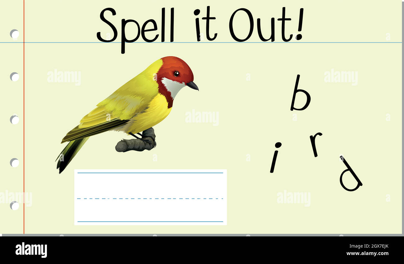 Spell English word bird Stock Vector Image & Art - Alamy