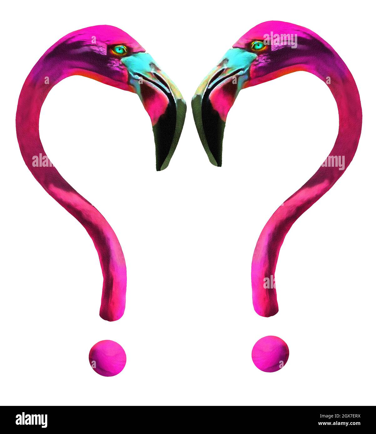 Question mark flamingo hi-res stock photography and images - Alamy
