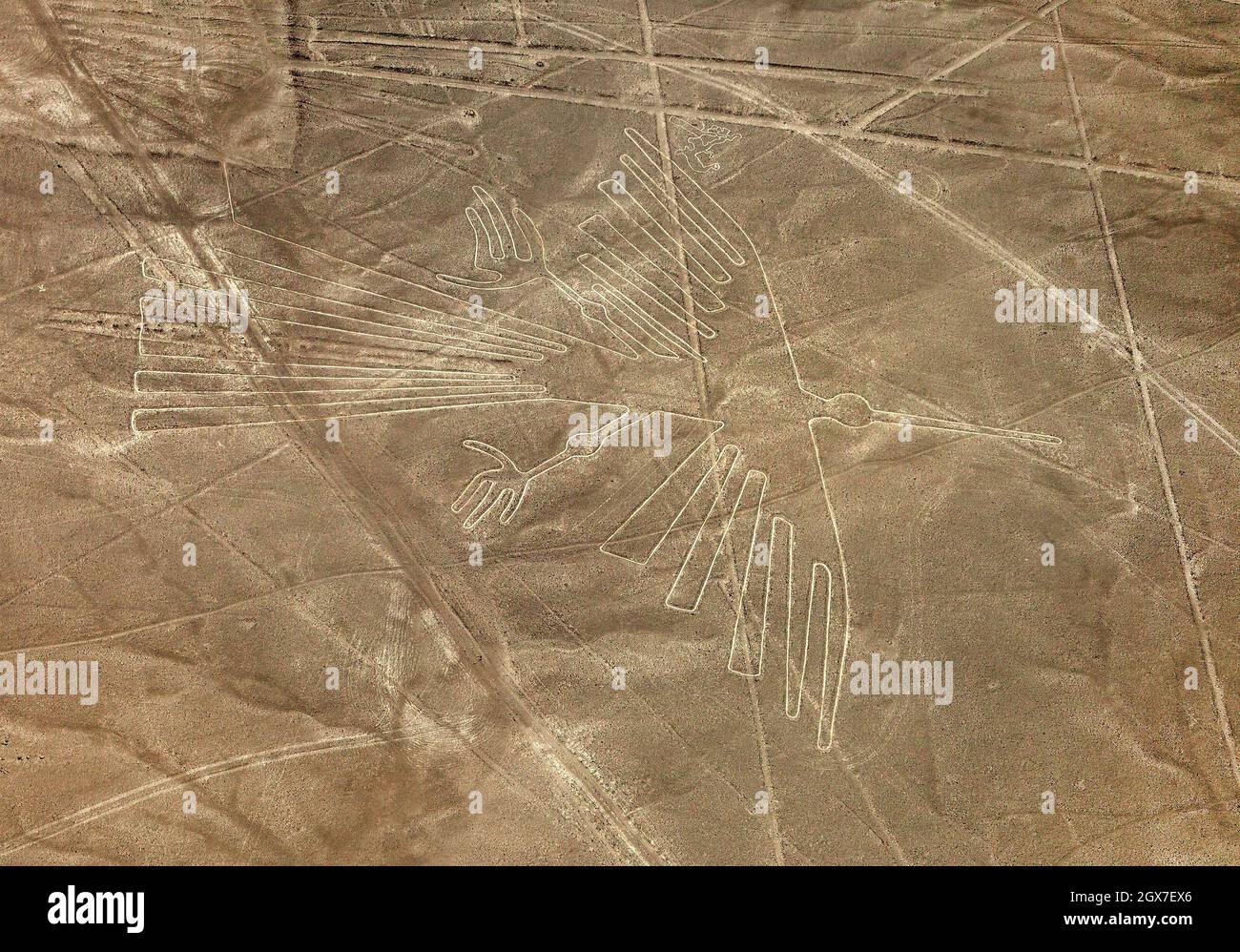 Condor geoglyph, Nazca or Nasca mysterious lines and geoglyphs aerial ...