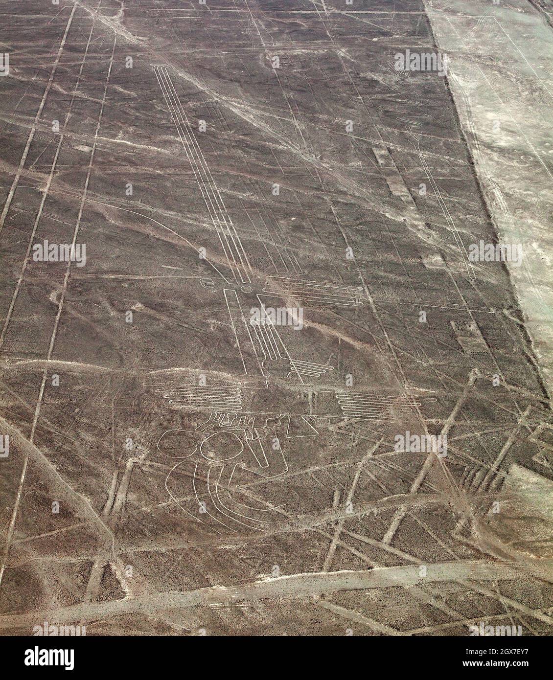 pelican geoglyph, Nazca or Nasca mysterious lines and geoglyphs aerial ...